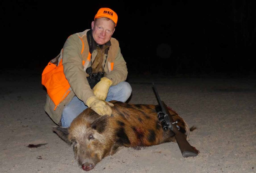 Feral Hogs | Sports Afield