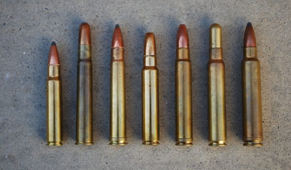 Which .375 Should You Choose? | Sports Afield