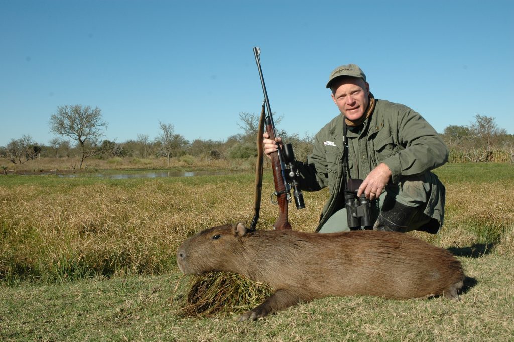 Hunting the Giant Rat | Sports Afield