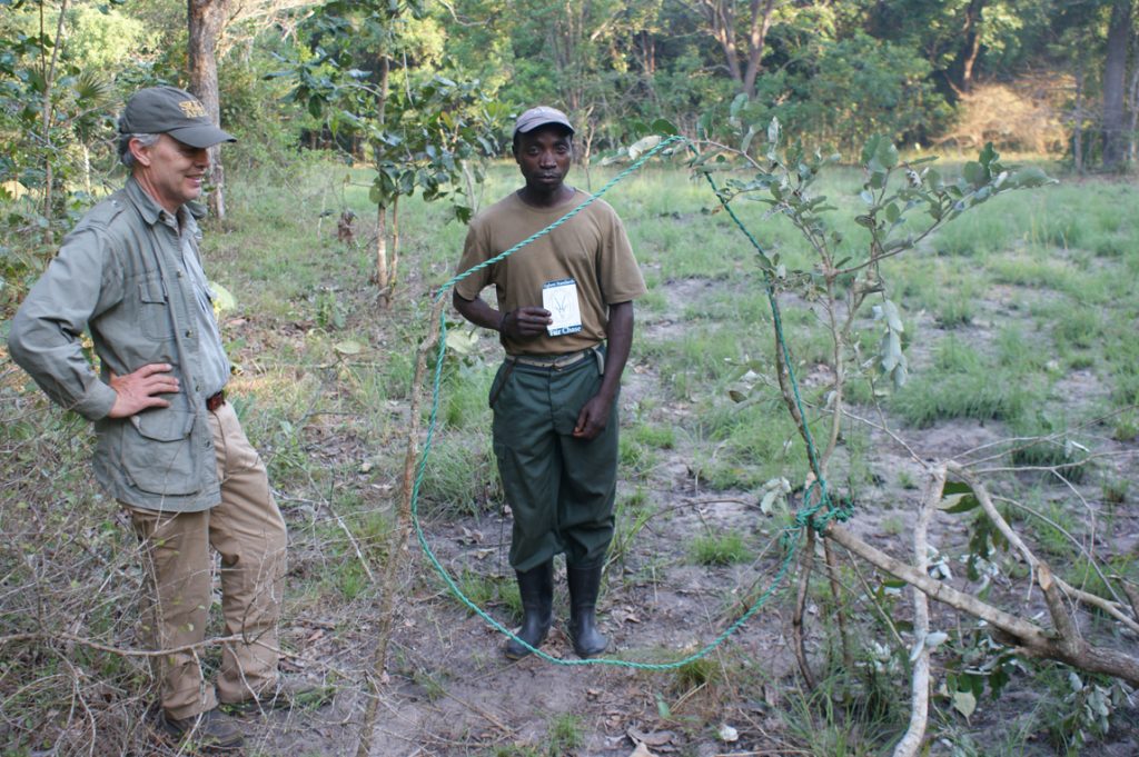 Anti-Poaching Pays Off in Mozambique | Sports Afield