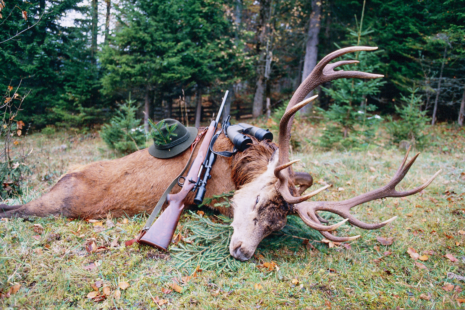 Want to Hunt a Red Stag? | Sports Afield