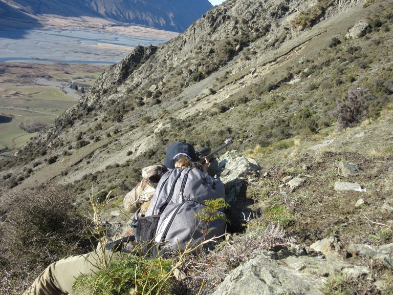 All About Himalayan Tahr | Sports Afield