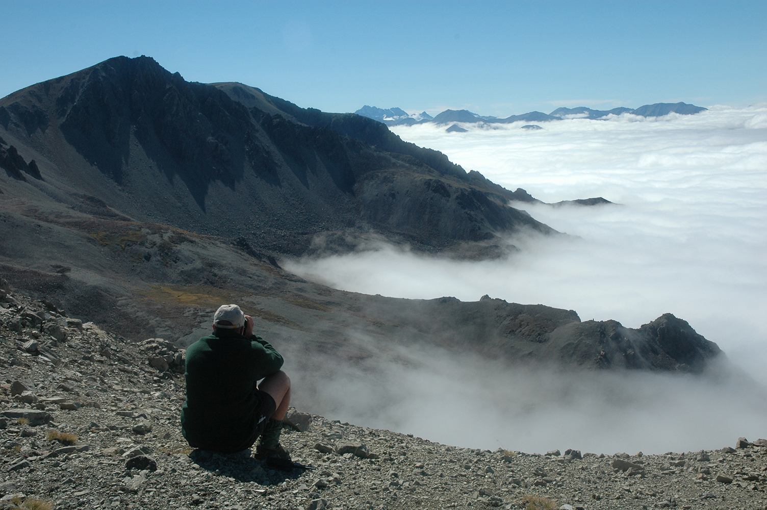 All About Himalayan Tahr | Sports Afield