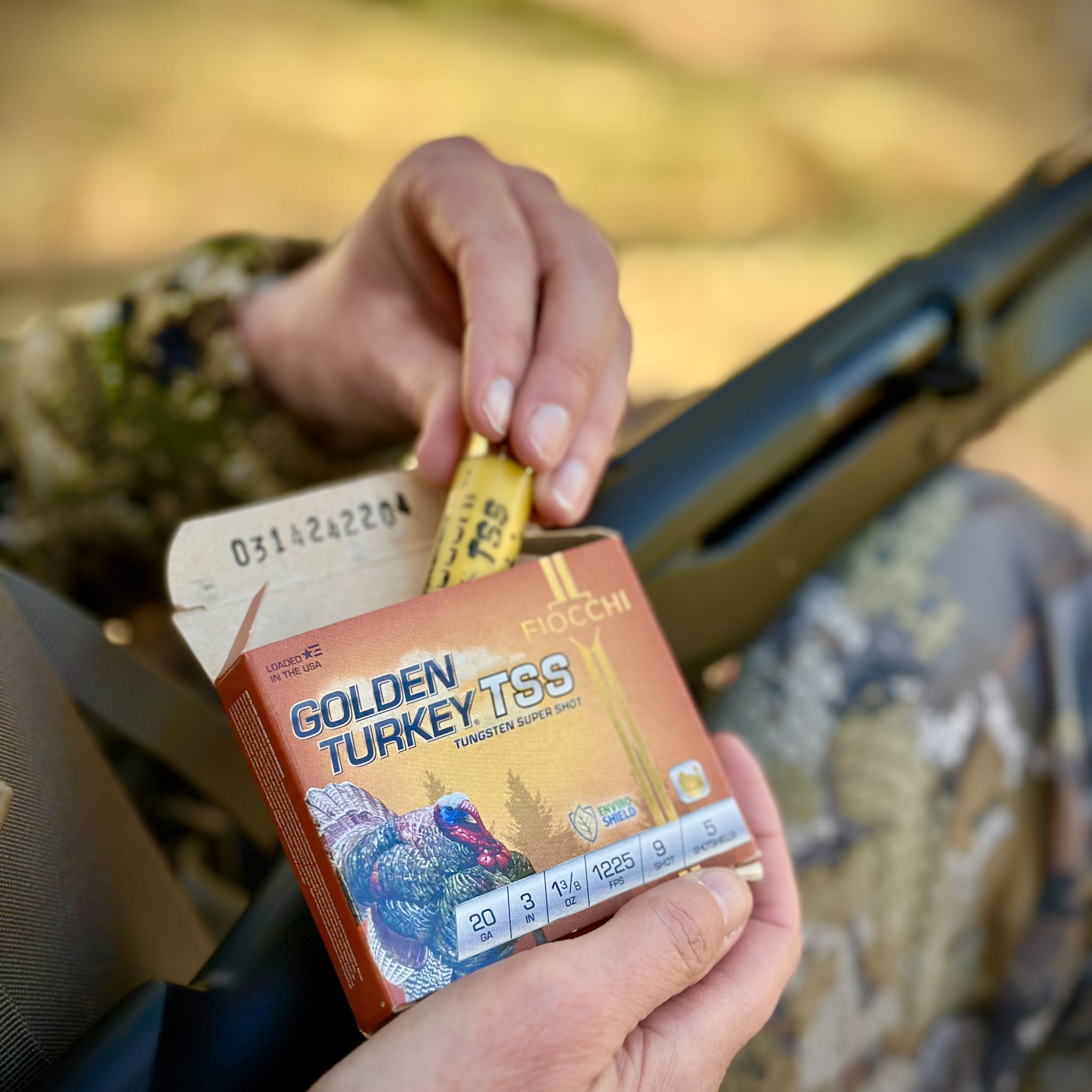 Close Encounters of the Turkey Kind | Sports Afield