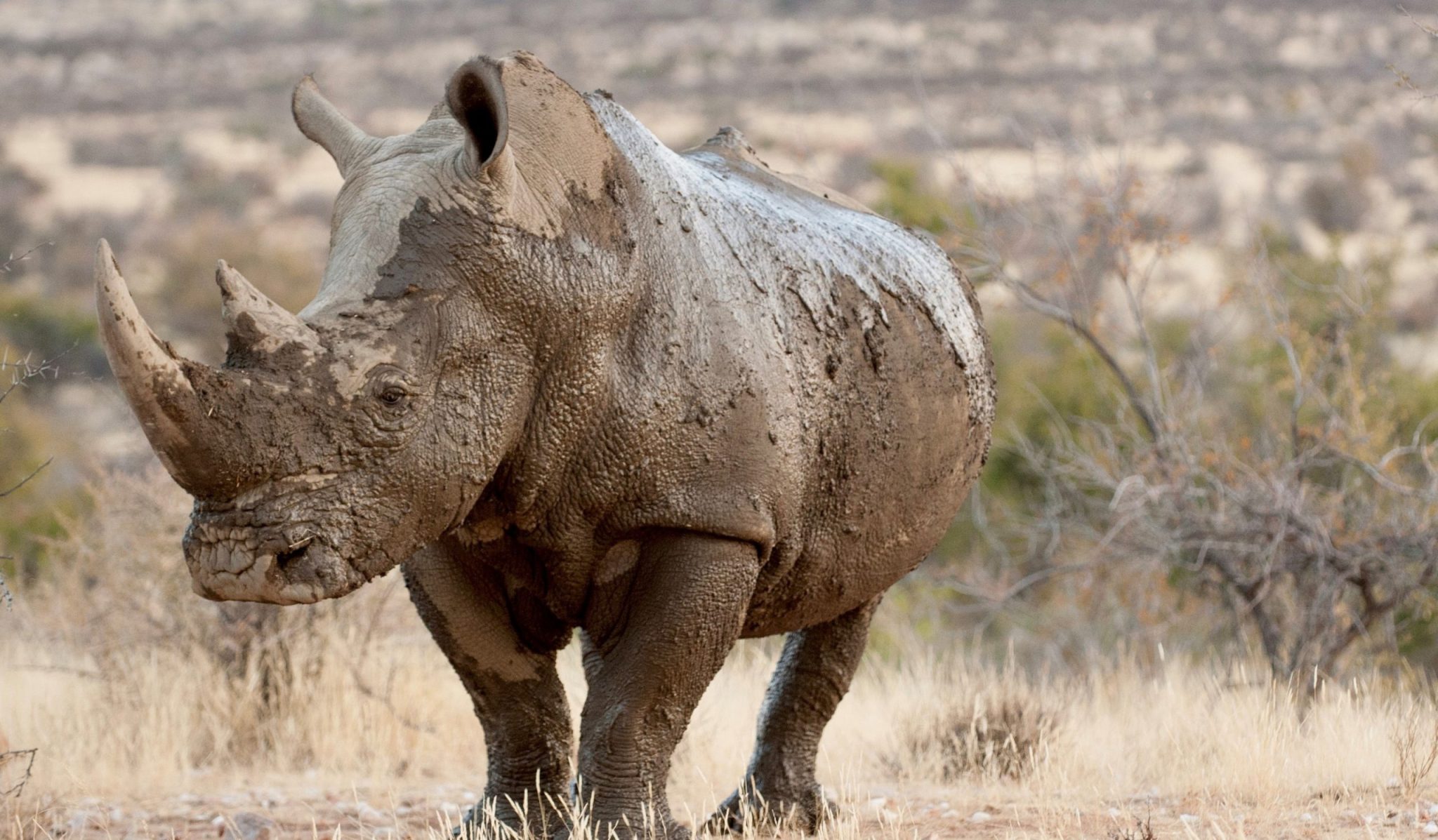 Sports Afield | The world's Premier hunting adventure magazine